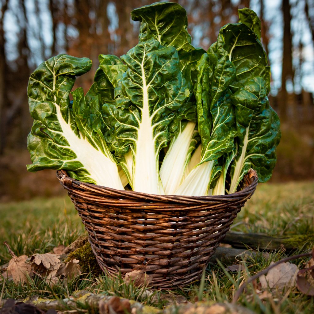 Blettes | La Ferme du Sous-Bois | Saint-Martin-en-Haut